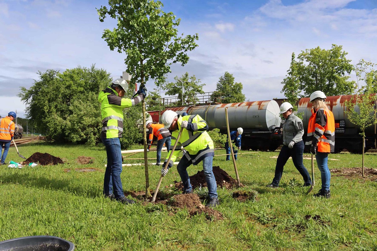 Gemeinsam für die Umwelt: Mitarbeiter pflanzen Bäume im Chemiepark ...
